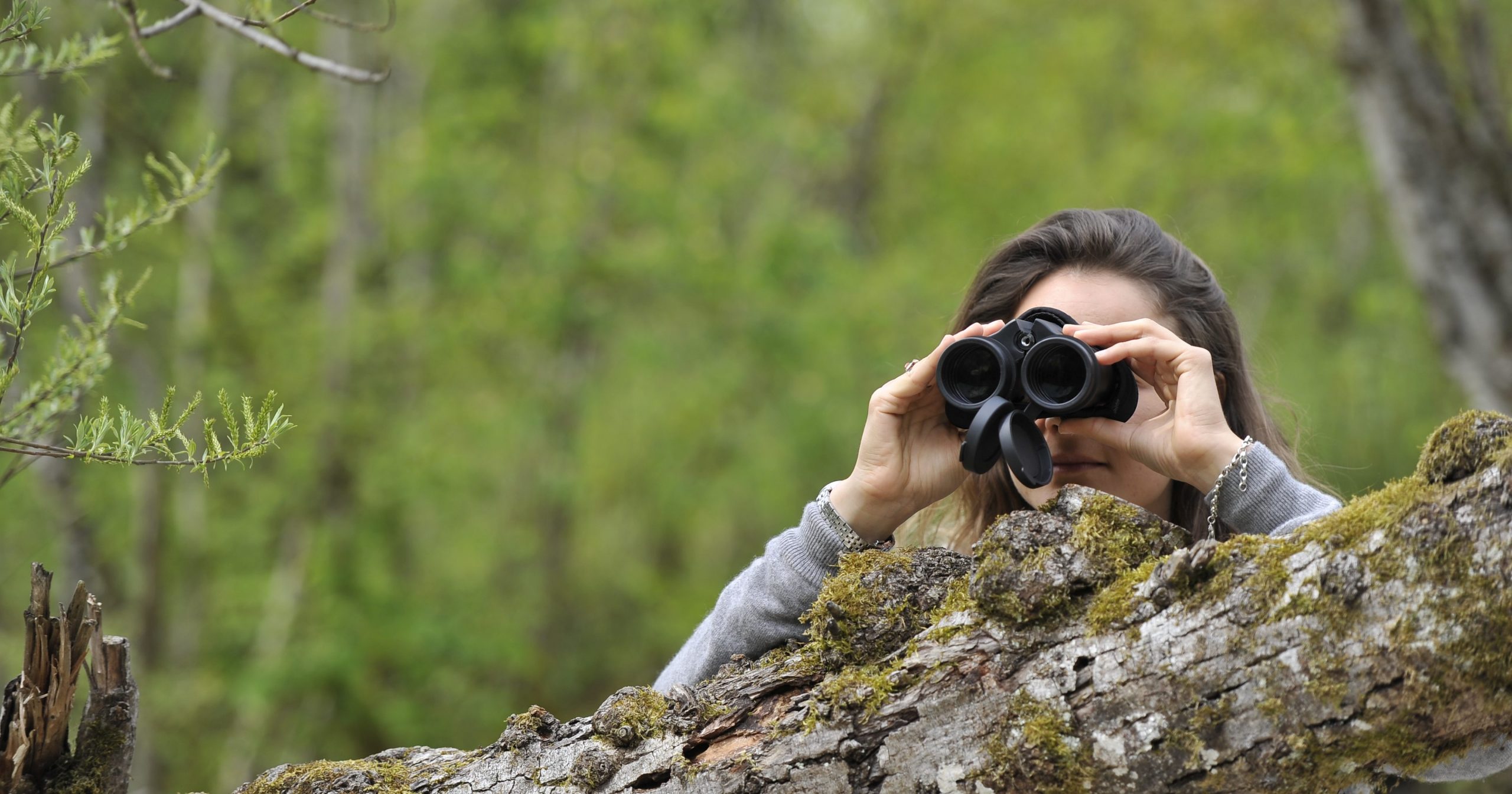 Formations naturalistes | Agenda Nature de Pro Natura Genève